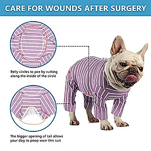 Etdane Small Dog Onesies Surgical Recovery Suit Long Shirt Pet Cold Weater Vest for Home Outdoor (X-Small, Purple Stripe-1)