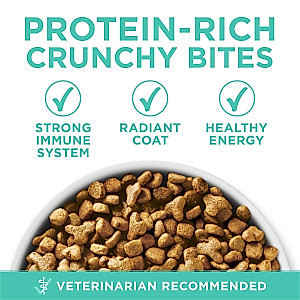 Purina ONE Sensitive Stomach, Sensitive Skin, Natural Dry Cat Food, +Plus Sensitive Skin and Stomach Formula - 22 lb. Bag