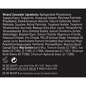 Make Cosmetics Soft Focus Corrective Duo Conceal Set, Warm No. 4