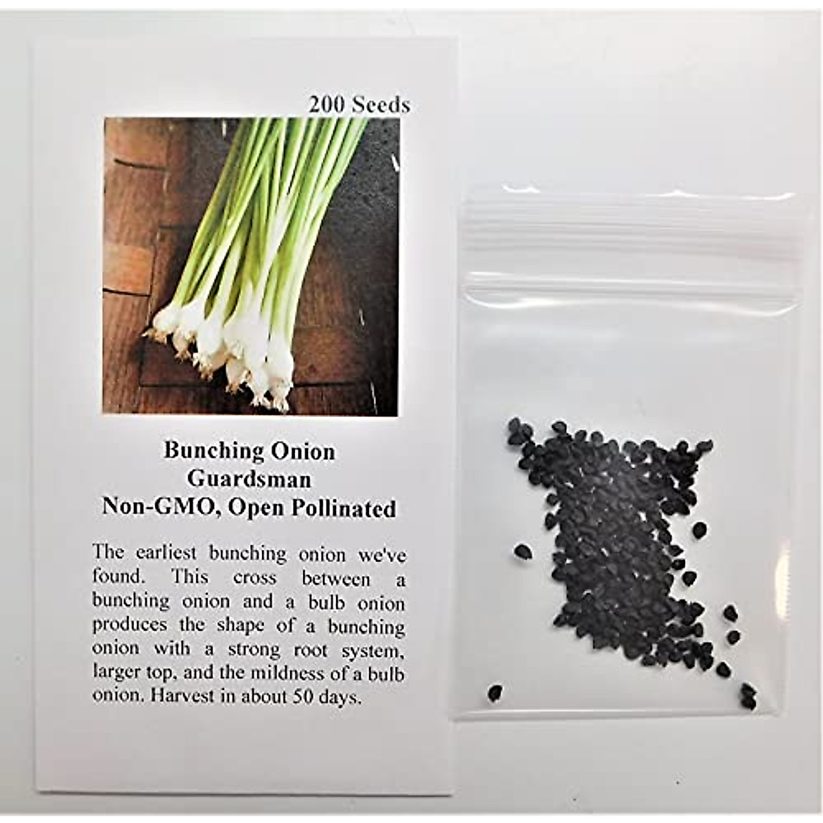 David's Garden Seeds Bunching Onion Guardsman FBA-2136 (White) 200 Non-GMO, Open Pollinated Seeds