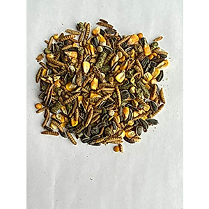 Chicken Feed Treat 10 lbs | USA Produced Grubs (Black Fly Larvae) & Organic Whole Grains