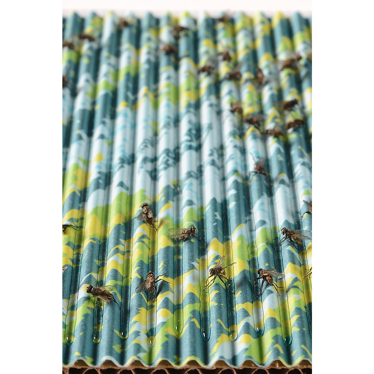 RESCUE! FlyPad – Sticky Fly Traps for Indoor & Outdoor Use - 4 Pack (8 Traps)