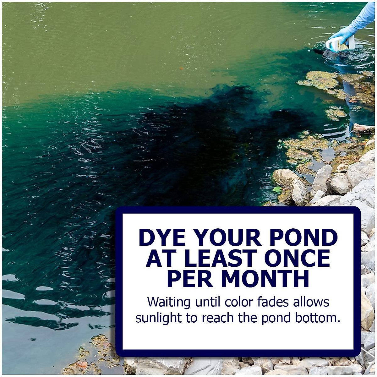Natural Waterscapes Pond Dye - Midnight Blue Super Concentrate- 1 Quart Treats 1 Acre up to 6 Feet Deep, Dark Natural Looking Blue Pond Dye- Mix of Bright Blue Dye and Black Dye (1)