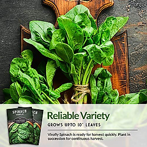 Survival Garden Seeds - Viroflay Spinach Seed for Planting - Packet with Instructions to Plant and Grow Nutritious Leafy Greens in Your Home Vegetable Garden - Non-GMO Heirloom Variety - 2 Pack