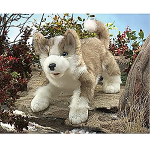 Folkmanis Wolf Pup Hand Puppet, Gray, White, Black, 1 EA