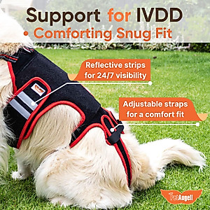 Dog Back Brace - Specialized IVDD Back Brace for Dogs, Arthritis Relief, Herniated Disc, Slipped Disc, Surgery Recovery - Dog Spine Support Harness - IVDD Dog Supplies, PetAngell - Large