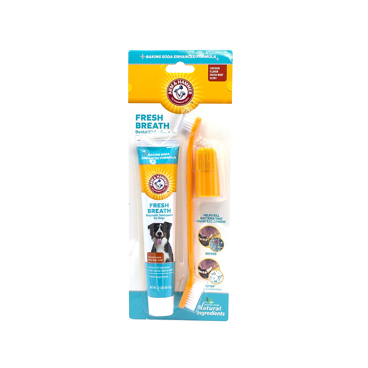 Arm & Hammer for Pets Fresh Breath Kit for Dogs | Wahl USA 4-in-1 Calming Pet Shampoo