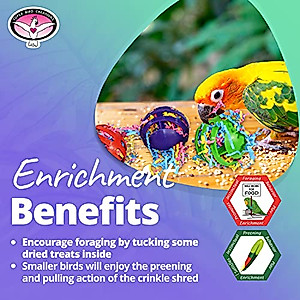 Super Bird Creations SB760 Waffle Ball Stuffers Toy for Birds, Set of 3