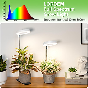 LORDEM Grow Light, 48 LEDs Plant Light for Indoor Plants, Full Spectrum Desk Grow Lamp with Automatic Timer for 4H/8H/12H, 4 Dimmable Levels, Height Adjustable 7.8"-26", 1 Pack