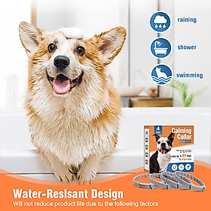 Calming Collar for Dogs 4 Packs Pheromone Collar 60 Days Use, Dog Anxiety Relief Separate Design Suitable for Various Small Medium Large Dog Relax Dog Calming Collar, Adjustable Size 25 Inches