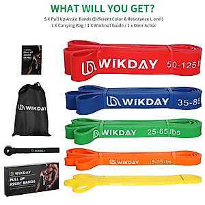 WIKDAY Resistance Bands, Pull Up Bands, Workout Bands for Exercise, Thick Heavy Resistance Band Set with Door Anchor, Elastic Bands for Body Stretching, Training at Home/Gym for Men & Women