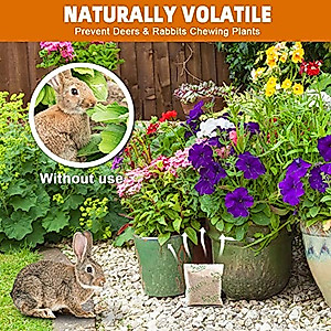 DALIYREPAL Deer Repellent, Rabbit Repellent Outdoor,Deer Repellent for Plants, Rabbit Repellent for Yard Powerful, Deer Deterrent for Trees,Outdoor Deer Repellant Yard 12 Packs/Bag