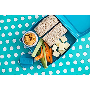 Trudeau 8oz Sandwhich Box, Tropical