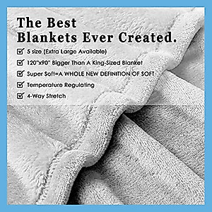 Pindola Grey Fleece Throw Blankets for Couch，Lightly Plush Cozy Textured Flannel Blanket for Sofa, Sofa, Bed, Light Gray，Valentine's Day Easter Gifts 40"x30" for Pets