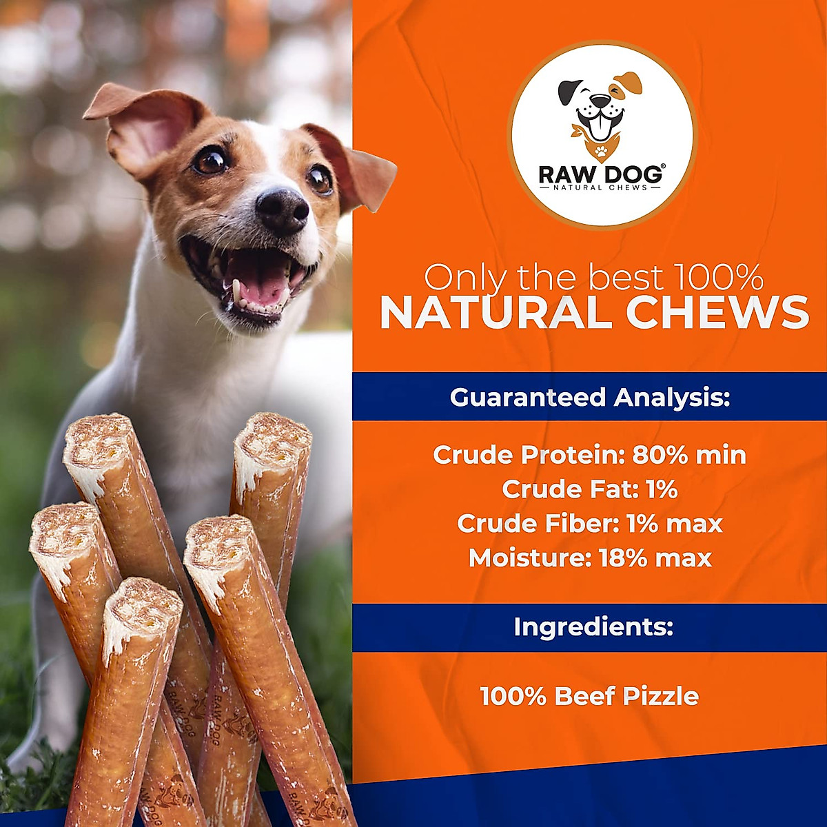 Raw Dog Bully Sticks All-Natural Dog Treats,12IN Regular Size, 1pk - Premium Odor Free Dog Chews, 100% Beef, Grass Fed, Non-GMO
