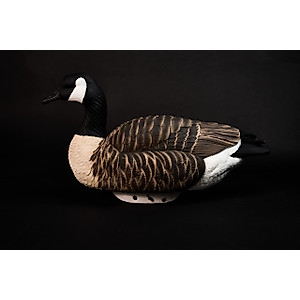 Ultralight 100% HydroFoam Canada Goose 4 Pack - Light as a Feather - Lasts Forever