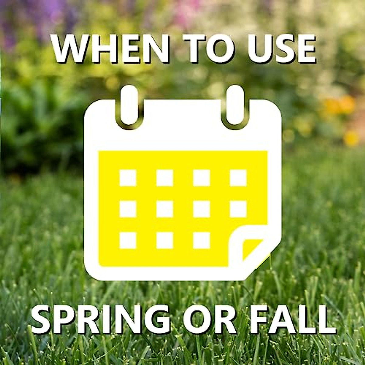 Jonathan Green (16002) Veri-Green Weed and Feed Lawn Fertilizer - 21-0-3 Grass Fertilizer & Weed Killer (5,000 Sq. Ft.)