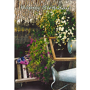 Deluxe Pop Up Birthday Greeting Card Assortment in a Bulk (12 Pack)