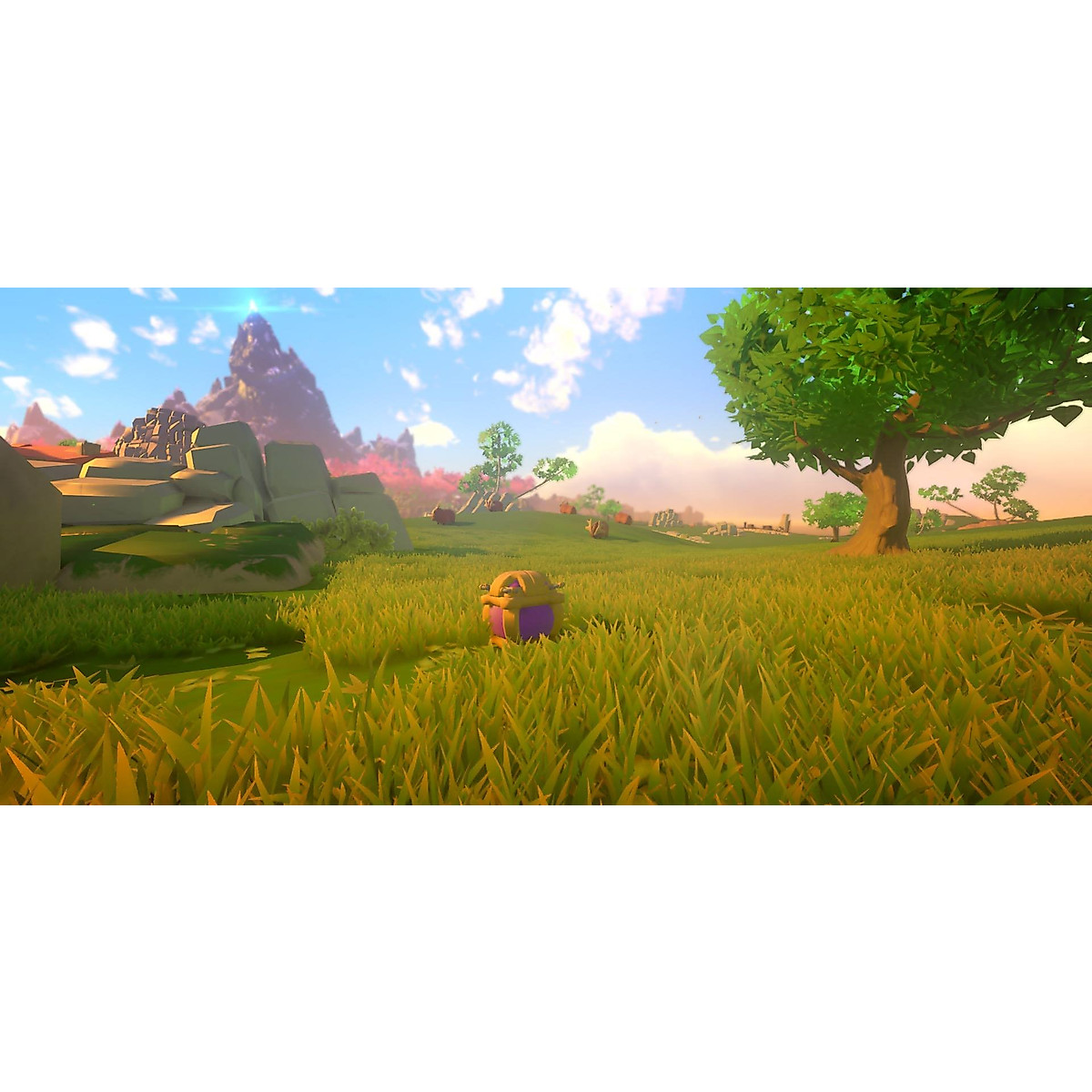 Yonder The Cloud Catcher Chronicles - Nintendo Switch