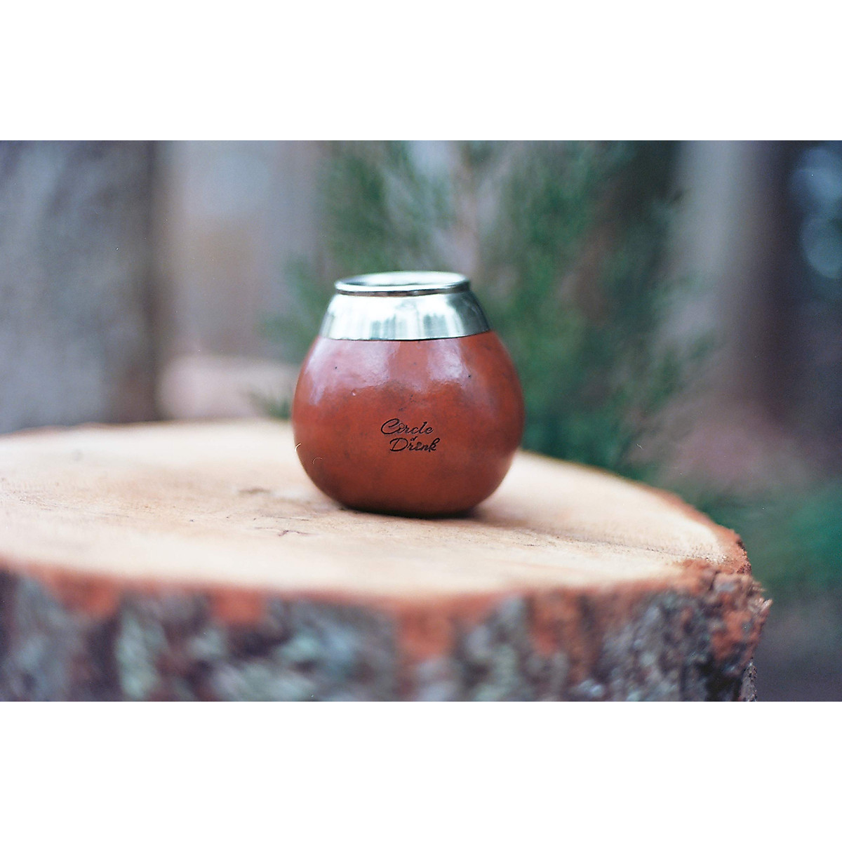 Circle of Drink - Sabi Cup Mocha - Authentic Handcrafted Calabash Yerba Mate Gourd - Alpaca Silver Brim - 50g, 10oz Capacity (MOCHA)