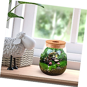 DOITOOL Indoor Propagation Desktop Water Plants Bonsai Home Planter Table Jar for Bottle Containers Nourishing Planting Bottles Microlandscape Small Airtight Flower Station Bryophyte Gift