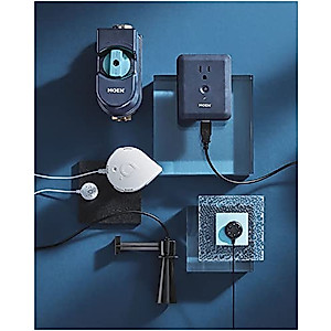 Moen 900-006 Flo Smart Water Monitor and Shutoff in 1-Inch Diameter