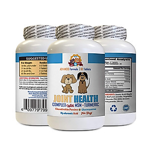 Old Dog Supplements - Dogs Joint Health Complex with Turmeric and MSM - Supports Hips and Joints - chondroitin Dog Treats - 1 Bottle (60 Tablets)