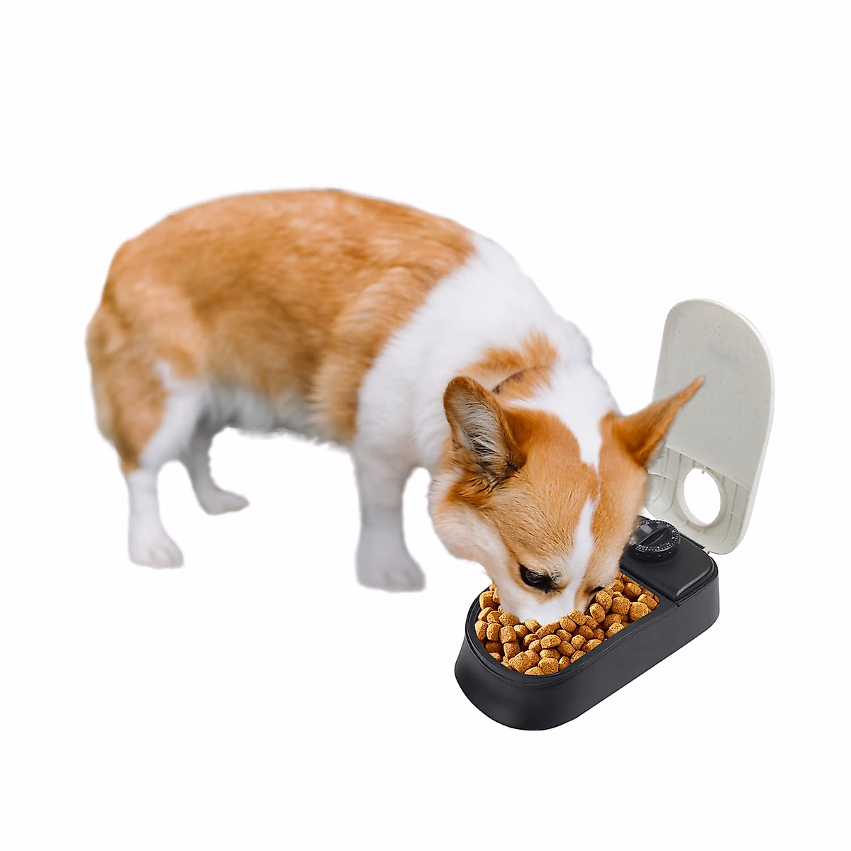 PAWISE Automatic Cat Feeders 1 Meal Automatic Dog Feeder,Dog/Cat Food Dispenser 1.5 Cup, Schedule Meal or Treat, with 48-Hour Timer