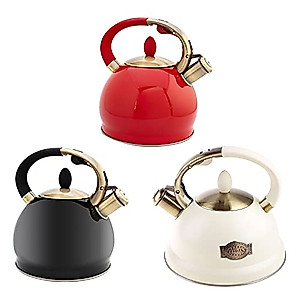 Stainless Steel Teakettle Teapot With Ergonomic Handle Easy Maneuvering Durable For Make Tea Boil Water Gift Fort Home Whistle Tea-pot