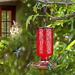 BOLITE Hummingbird Feeder, 18005 Glass Hummingbird Feeders for Outdoors Hanging, 5 Feeding Stations, 22 Ounces, Red Bottle, Xmas Gifts for Bird Lovers