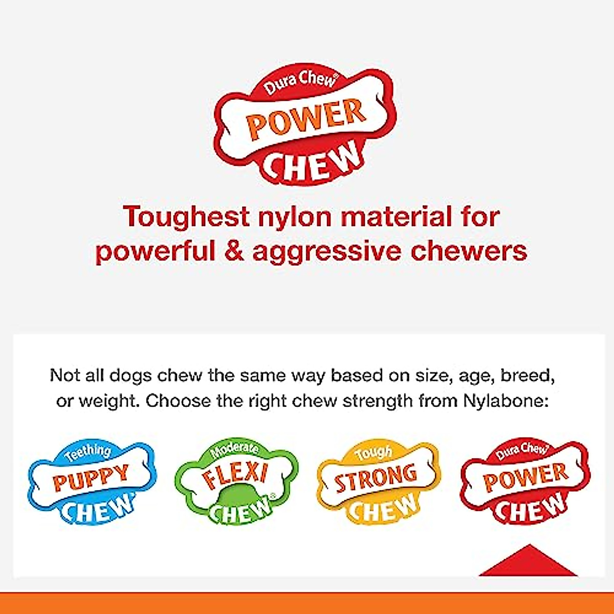Nylabone Basted Blast Original & Textured Bone Power Chew Toy for Dogs, Dog Toys for Aggressive Chewers, Bacon and Steak Flavor, X-Small - Up to 15 lbs, 2 Pack