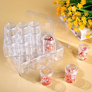 Xinnun 4 Pcs Bead Organizer Transparent Embroidery Bead Storage Containers with Lid Plastic Diamond Painting Storage for DIY Crafts Jewelry Earring Sewing Pills Nail Small Items, Clear(12 Grids)
