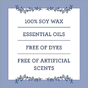 Our Own Candle Company Soy Wax Aromatherapy Candle, Simply Peppermint, 6.5 Ounce