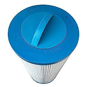 Jacuzzi Proclear 6000-383 Filter, 60 Sq Ft, J-300 Series (2002+) (1, Clear)