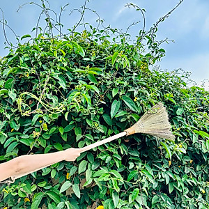 TTS For Home Handmade Whisk Sweeping Broom - Vietnamese Straw Soft Broom for Indoor or Outdoor Sweeping - Broom Decorative 11.81" Width,39" Length