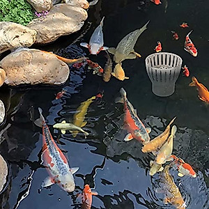 BCOATH 1 pc Tool Strainer Garbage Leaves Outdoor Plastic Garden Tank Collector Leaf Catch Drainage Pond Environmentally Basket Outlet Cleaner Skimmer Cover Sink Tasteless Gare