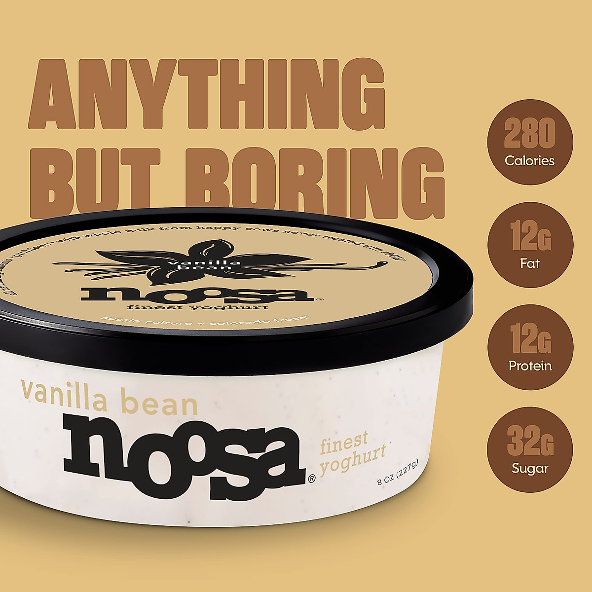 Noosa, Yoghurt Vanilla Bean, 8 Ounce, Probiotic, Whole Milk Yogurt, No Artificial Ingredients, Gluten Free