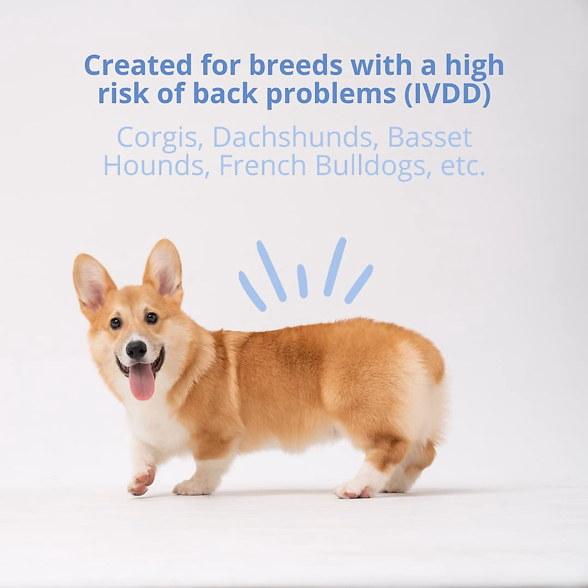 Under The Weather Pet Disc & Spine Health Chews for Dog | Vet Formulated Dog Chews Spinal Disc Support Supplement | Great for Dachshunds & Long Back Breeds with IVDD, Back & Joint Arthritis