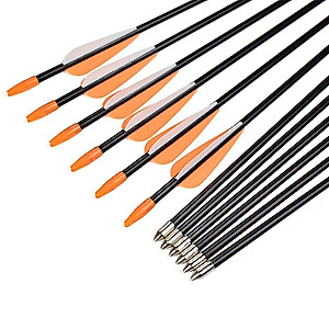 Practice Fiberglass Arrows Archery 30 Inch Target Shooting Safetyglass Recurve Bows Suitable for Youth Children Woman Beginner 6PCS