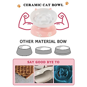 Y YHY Ceramic Slow Feeder Cat Bowl, Elevated Cat Bowl Tilted Design Slow Feeder for Dog and Cat for Dry and Wet Food, Pink