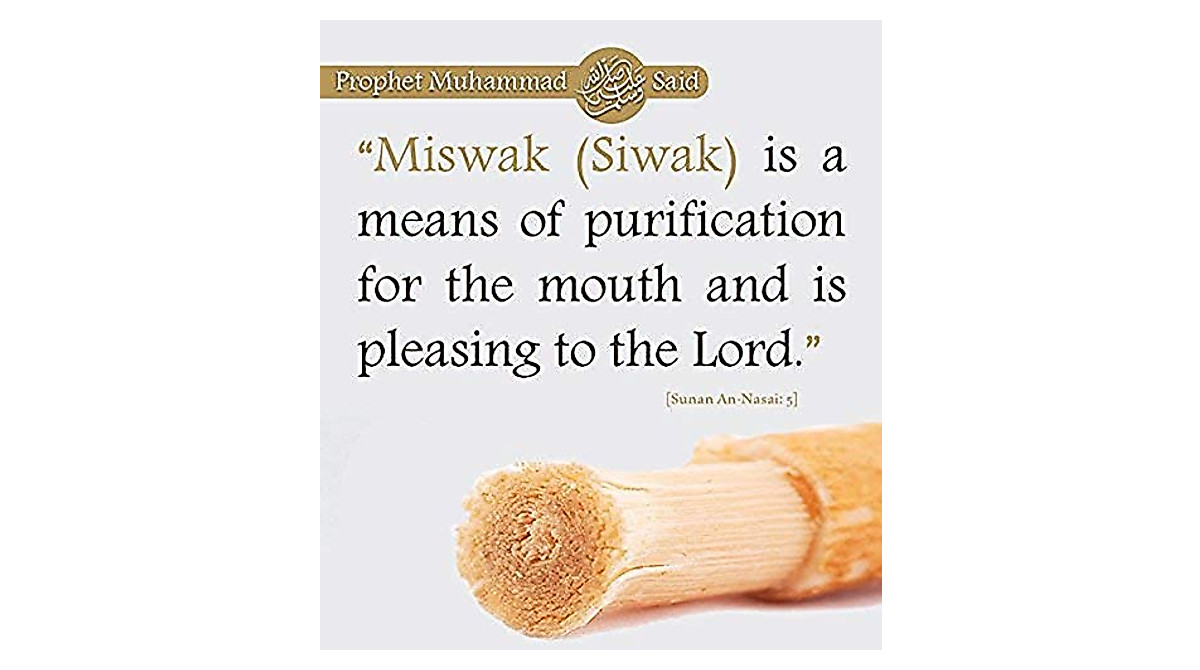 30 Pcs Al Falah Siwak Meswak Miswak Miswak Arak Peelu Al Falah Chewing ...