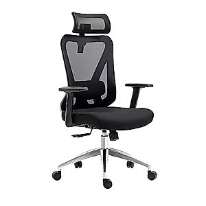 Techni Mobili Truly Ergonomic Office Chair with Lumbar Support & Adjustable Headrest – Breathable Mesh Office Chair with 5 Precision Adjustment Points, Black