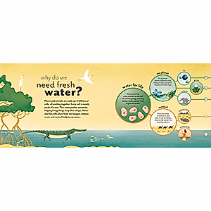 Are We Running Out of Water?: Mind Mappers―Making Difficult Subjects Easy To Understand (Environmental Books for Kids, Climate Change Books for Kids)