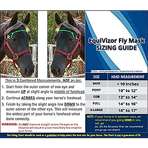 EquiVizor UV Fly Masks Horse Mask (W/Ear Protection, COB)