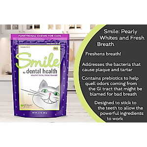 In Clover Smile Daily Dental Health Soft Chews for Cats (10.5 Oz) & Flow Soft Chews for Cats, Daily Support for UT Health (10.5 Oz)