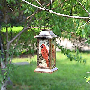 Topadorn Hanging Solar Lantern Waterproof Portable Lamp Outdoor Garden Decorative LED Light, Red Bird,10"H