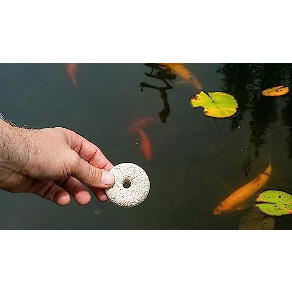 Summit 20-Pack Mosquito Dunk Tablet