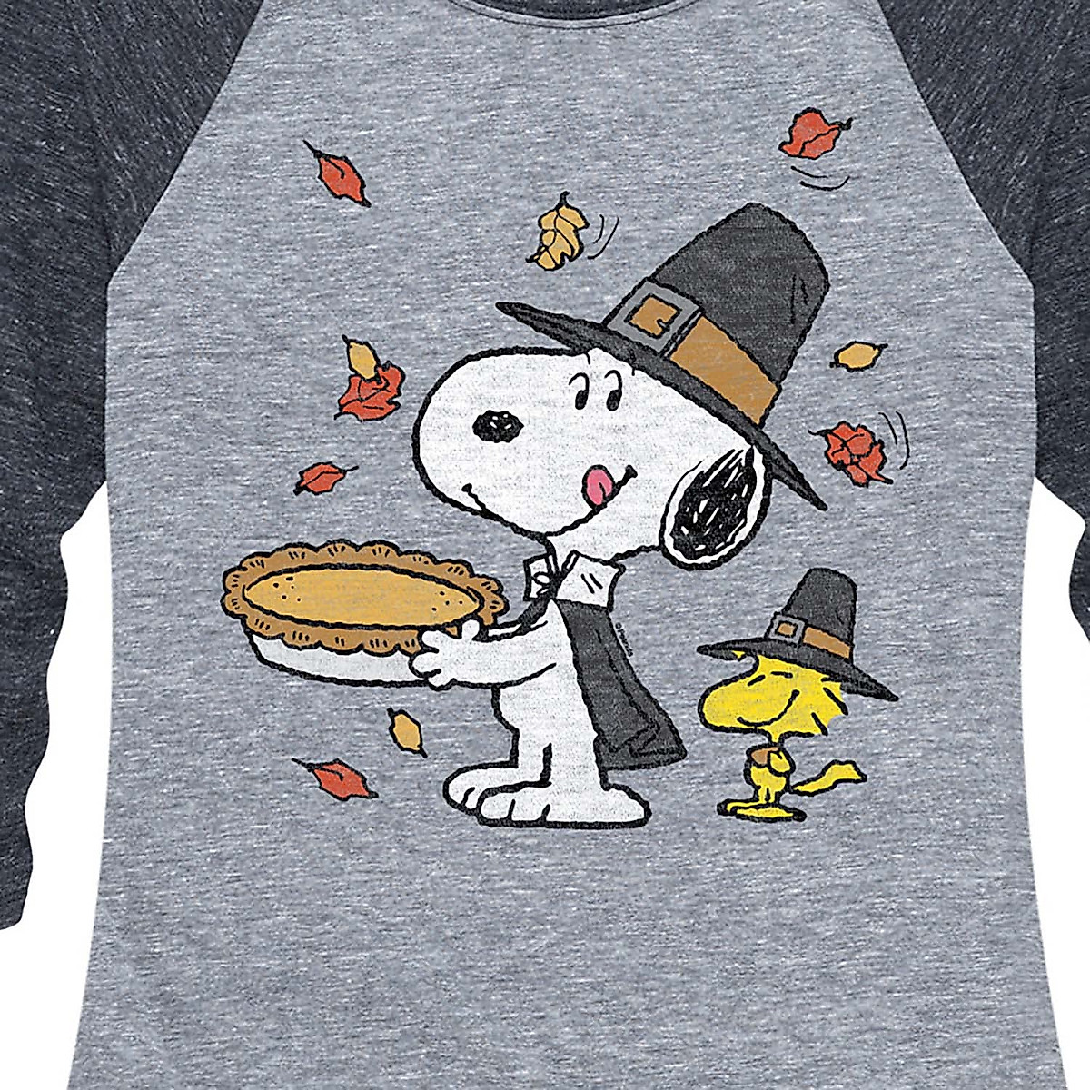 Peanuts Women's Hybrid Apparel Thanksgiving Scene Raglan Graphic T-Shirt, Athletic Heather/Heather Black, Small