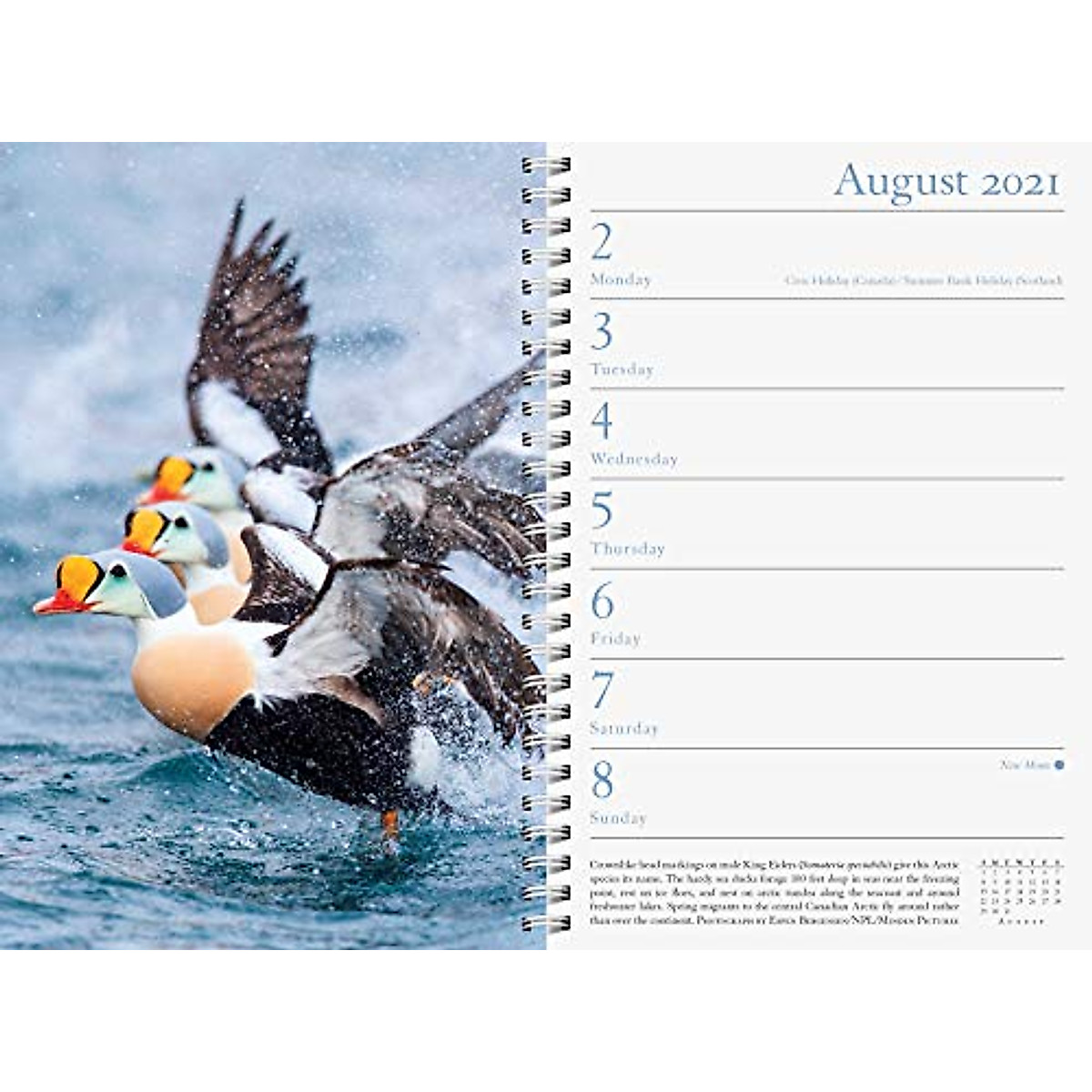 Audubon Engagement Calendar 2021
