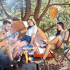 4 Pack Wasp Nest Decoy Wasp Deterrent for Hornets Yellow Jackets Outdoor Waterproof Material